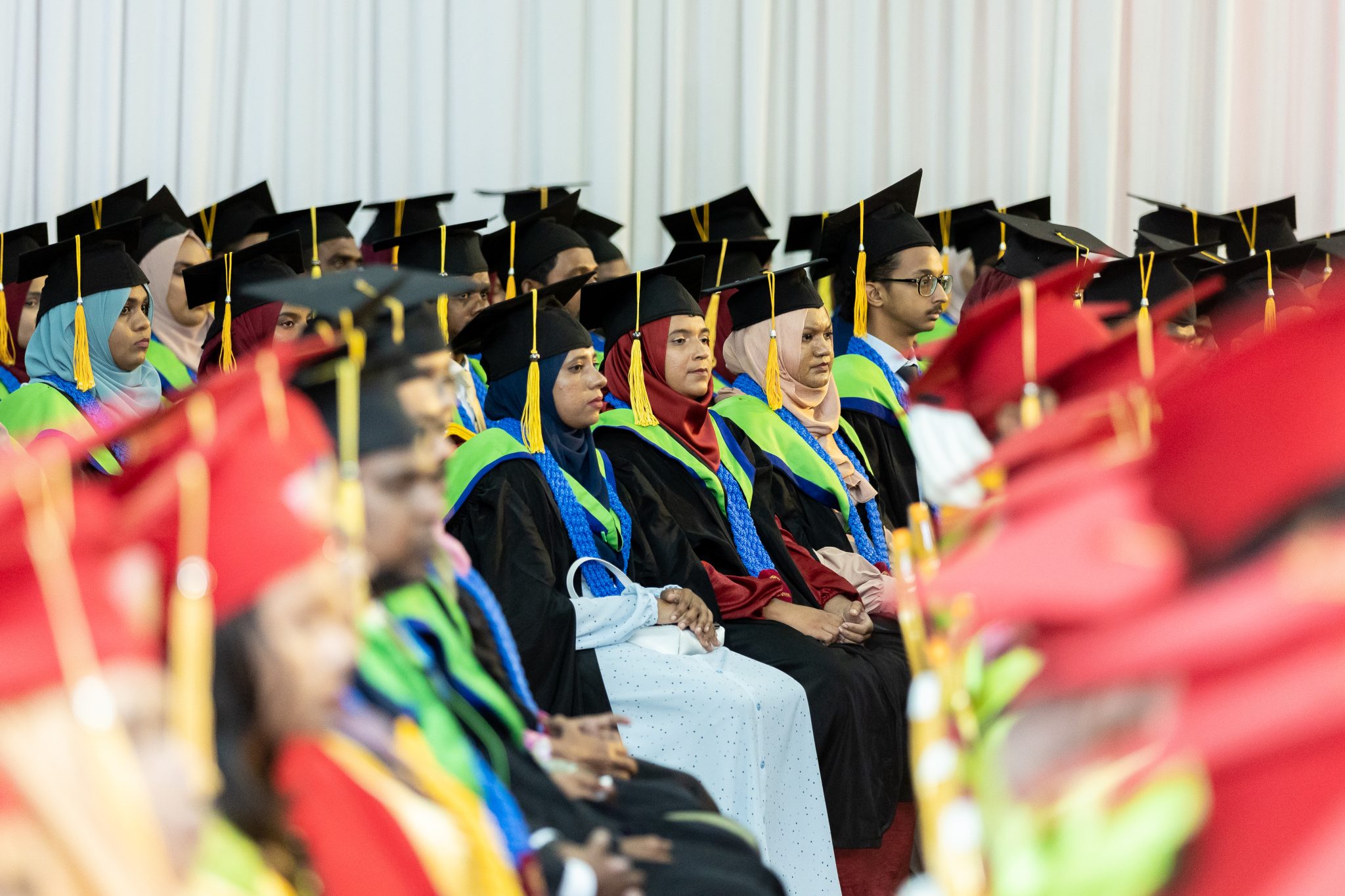 Avid College: 80+ Diverse Local Academic Programmes